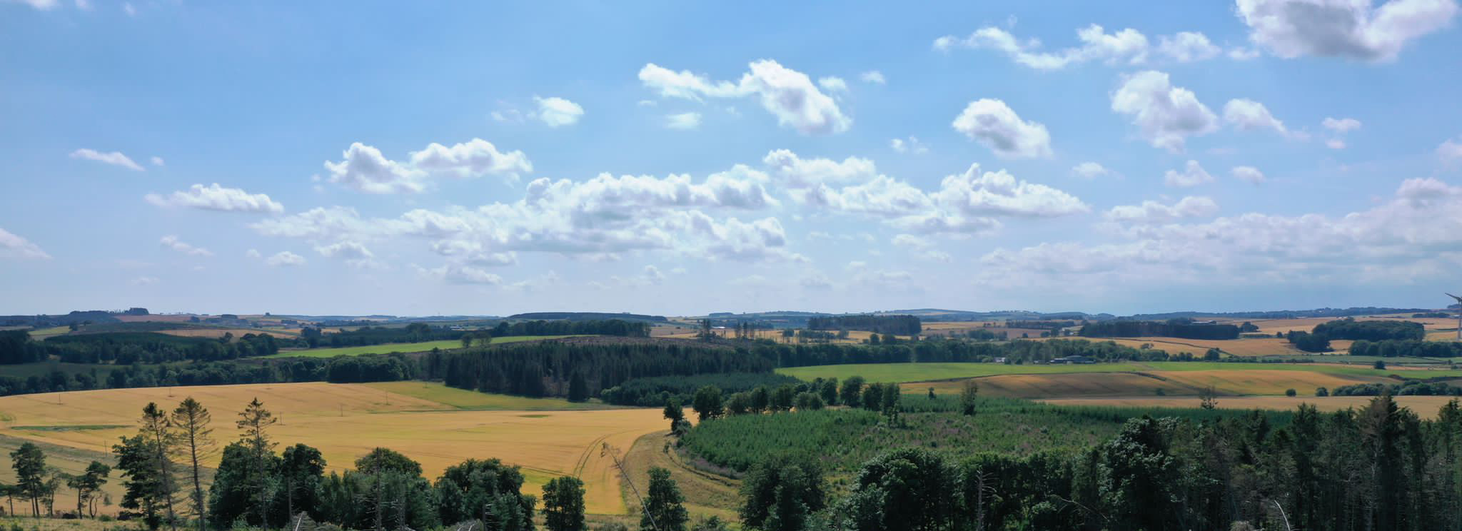 What we do - Haddo Estate