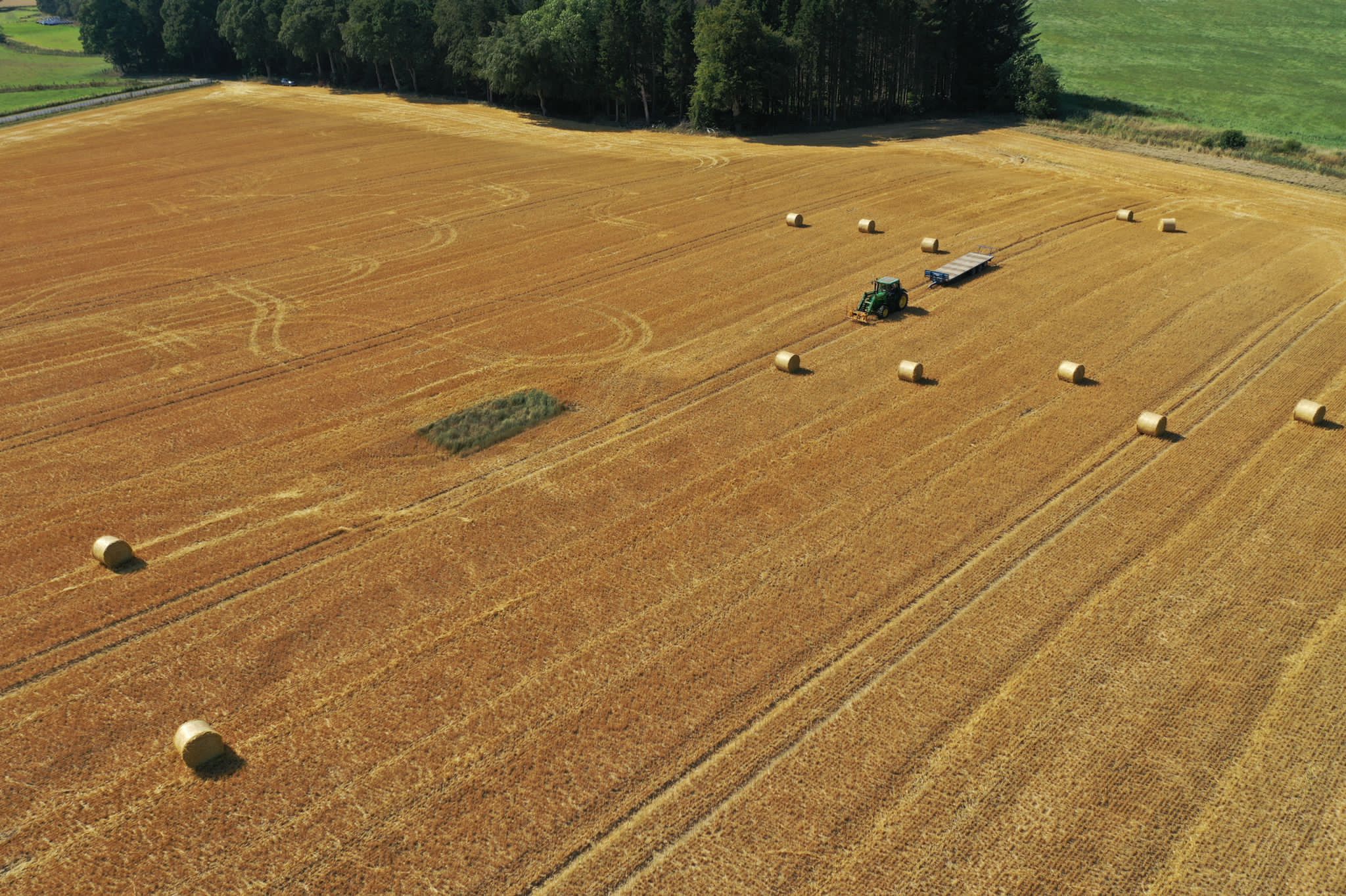 What we do - Haddo Estate